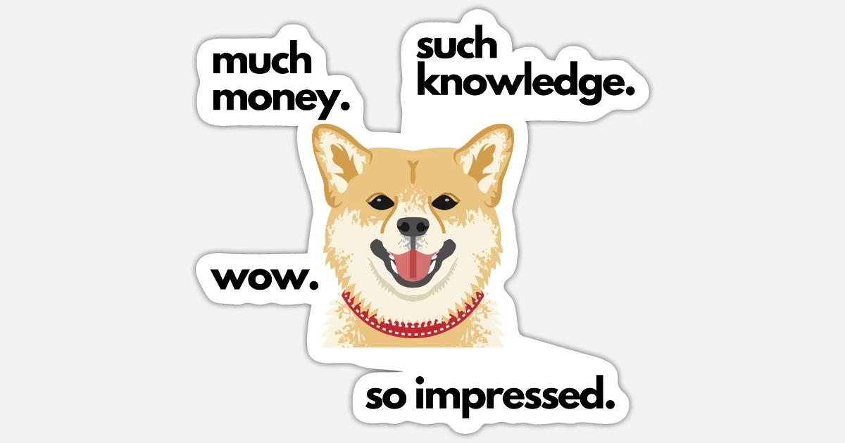 Wow Doge Dogecoin's Value Has Skyrocketed This Year