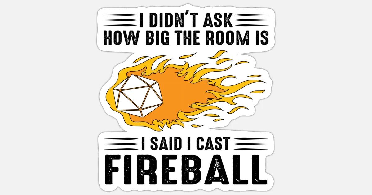 Fireball Wizard Cast I Didn't Ask How Big The Room Was I Said I Cast