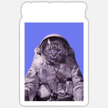 Outer Space Cat Memes BBC Radio 4 Extra Seymour The Fractal Cat,