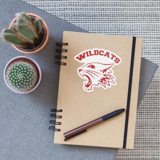 Pagine Da Colorare Di High School Musical Wildcats Wildcats High