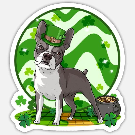 Son Boston Terriers Bulldogs Frances