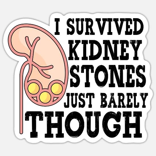 Kidney Donor Memes My New Kidney Is Down Here Shirt, Organ Donation,