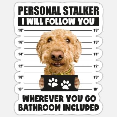 Stalker Dog Memes