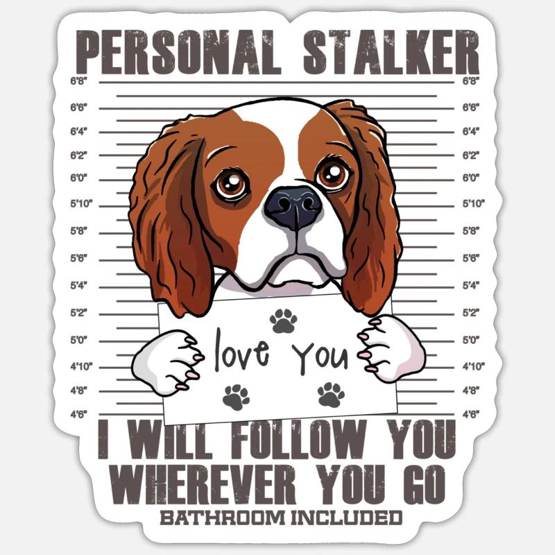 Laughing Cavalier Memes Funny Cavalier King Charles Dog Tongue Out