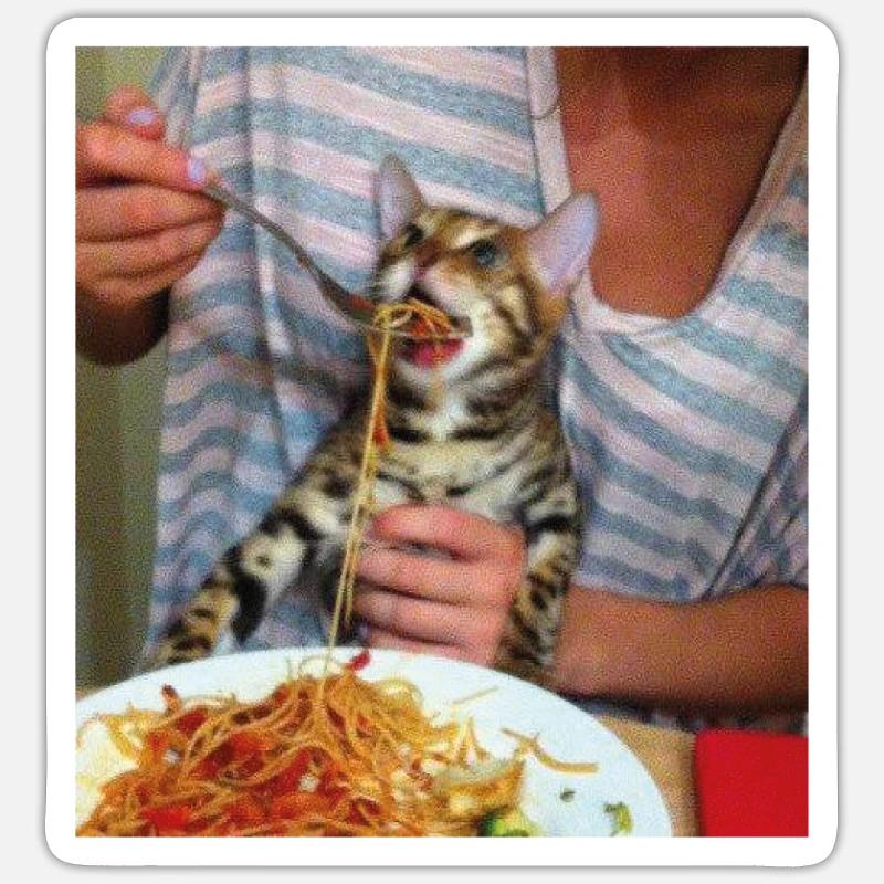 Cat Eating Memes Haitians Eating Dogs And Cats Rumor: How Trump, Elon
