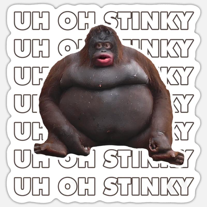 Memes About Stinky