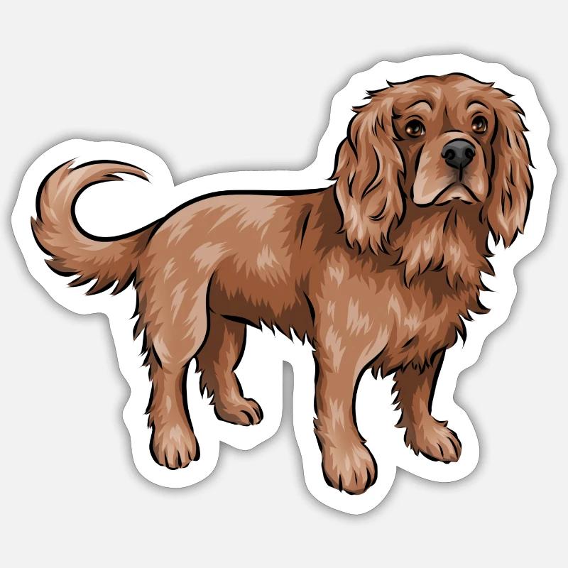 Cute Cavalier King Charles Spaniel Ruby