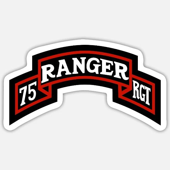 75th Ranger Regiment Patch 3 Battalion 75 Infantry Ranger New 10.5in