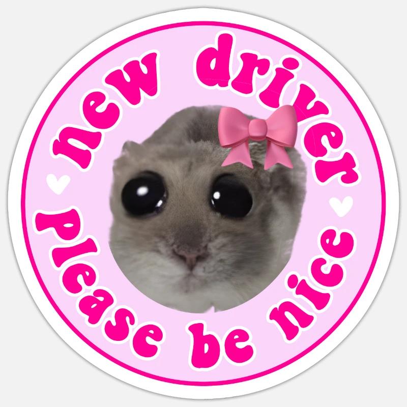 Sticker Meme 11 Meme Png Discord Stickers Movie Sarlen14