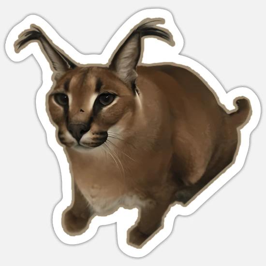 Have You Seen This Cat Big Floppa Know Your Meme