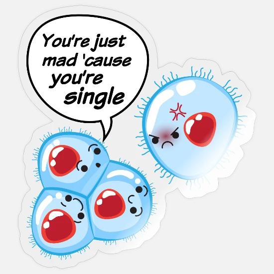Biology Jokes Mitosis 73 Science Jokes For Kids + Your Inner Nerd