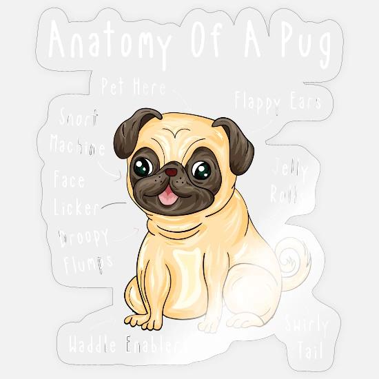 Pug Silly Faces