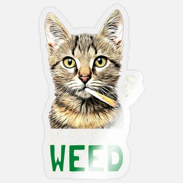 37 Instagrams Of Cats Smoking Weed