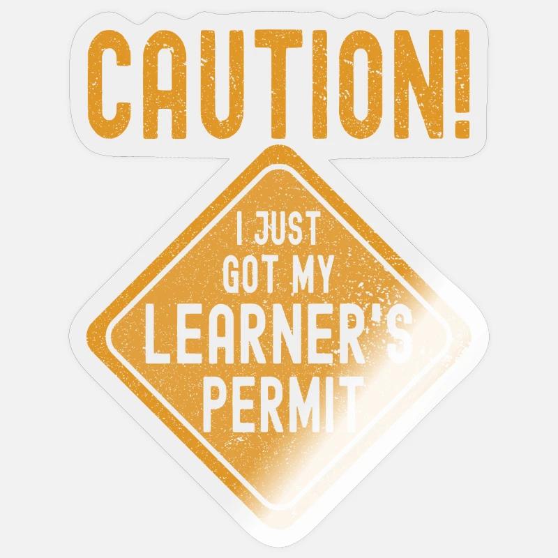 Driver Permit Memes I Honestly Appreciate How Detailed This Driver's
