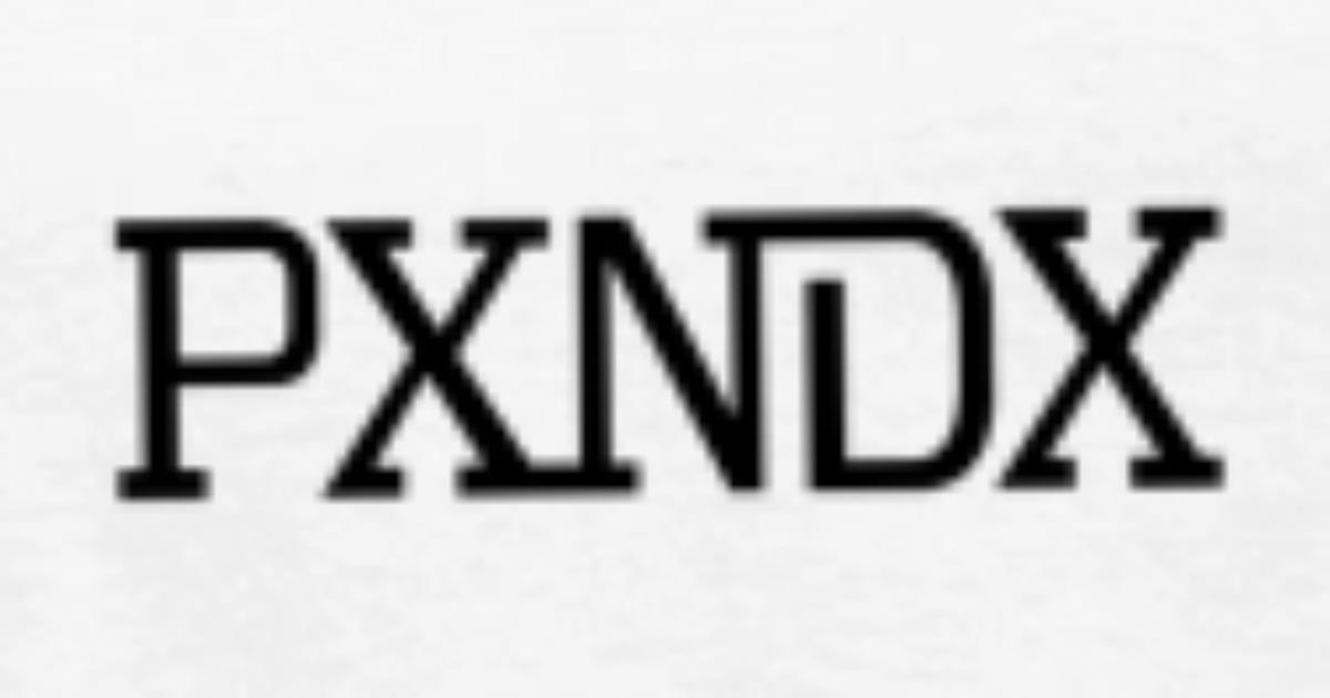 Grupo Pxndx Logo