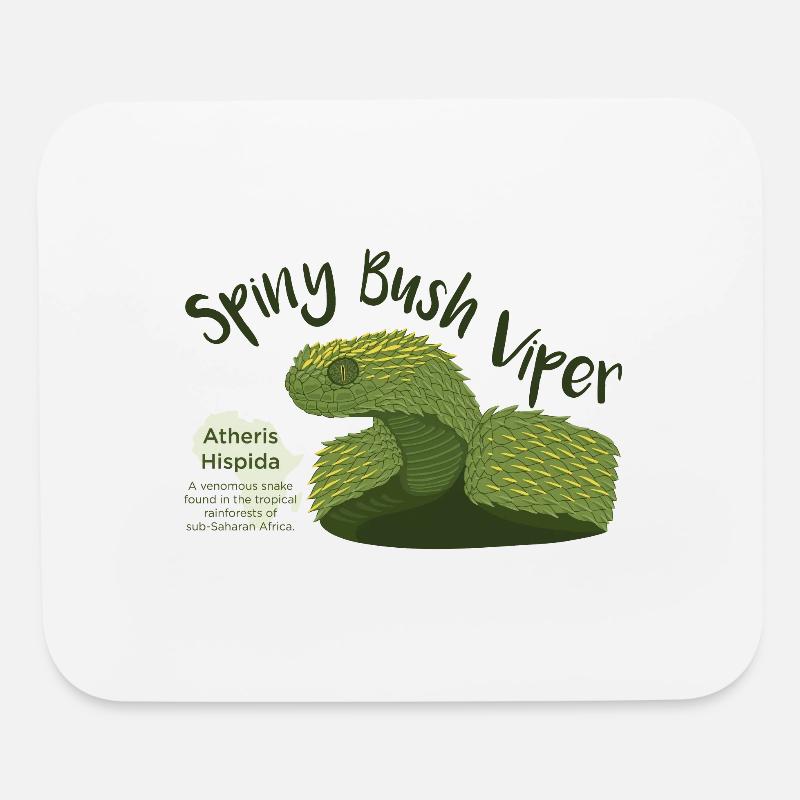Spiny Bush Viper
